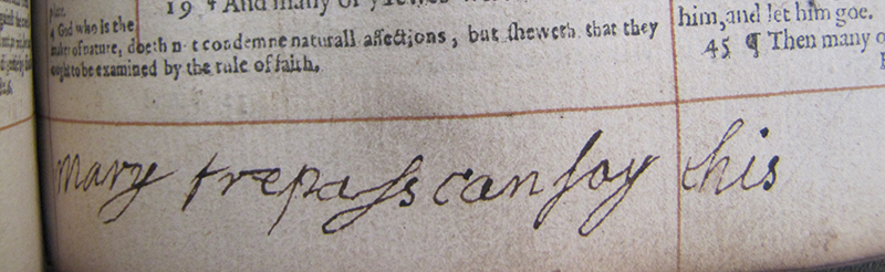 Early Modern Marginalia Research Network